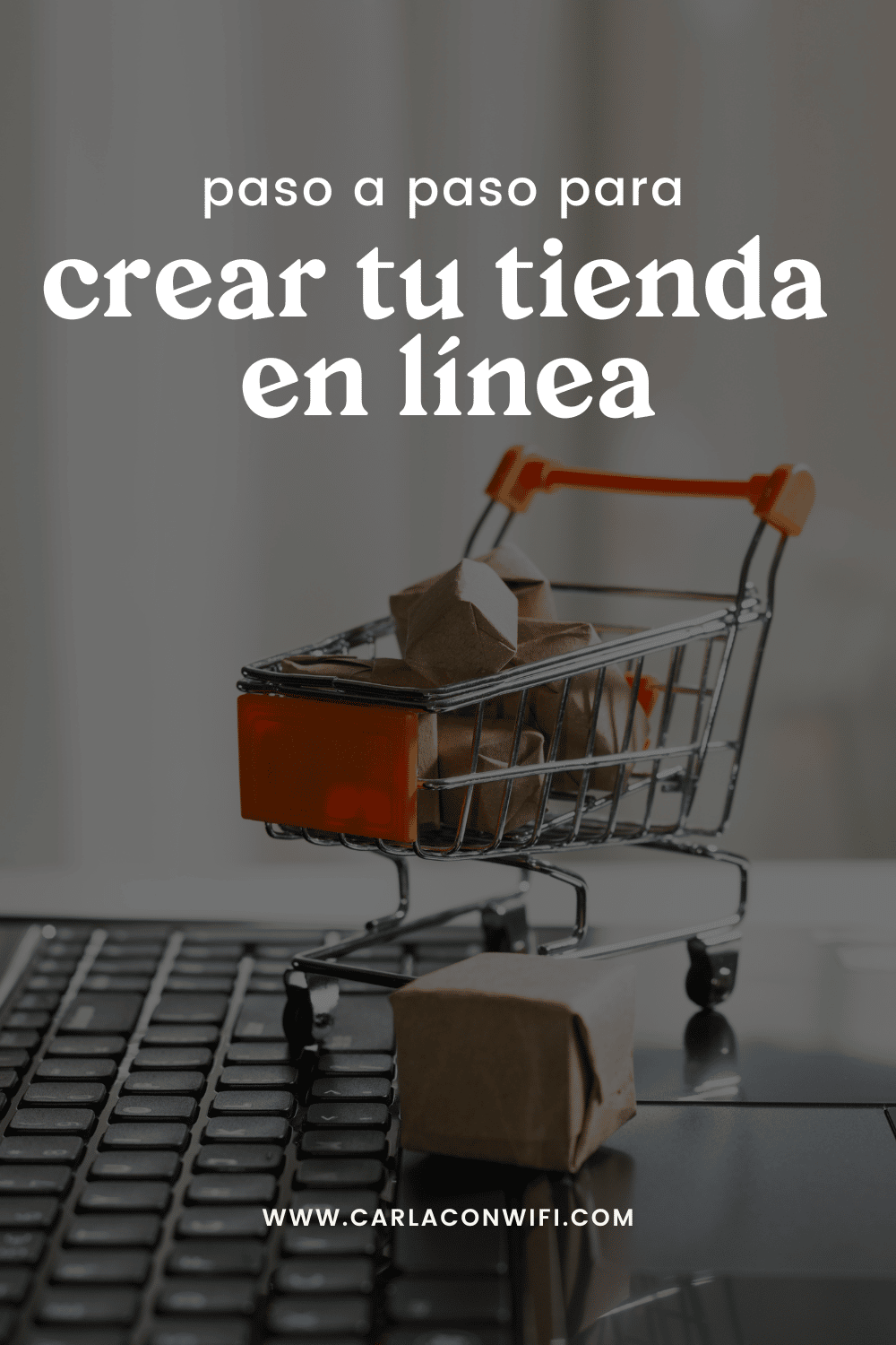 Paso A Paso De Cómo Crear Una Tienda En Línea En 2023 - Carla Con Wifi